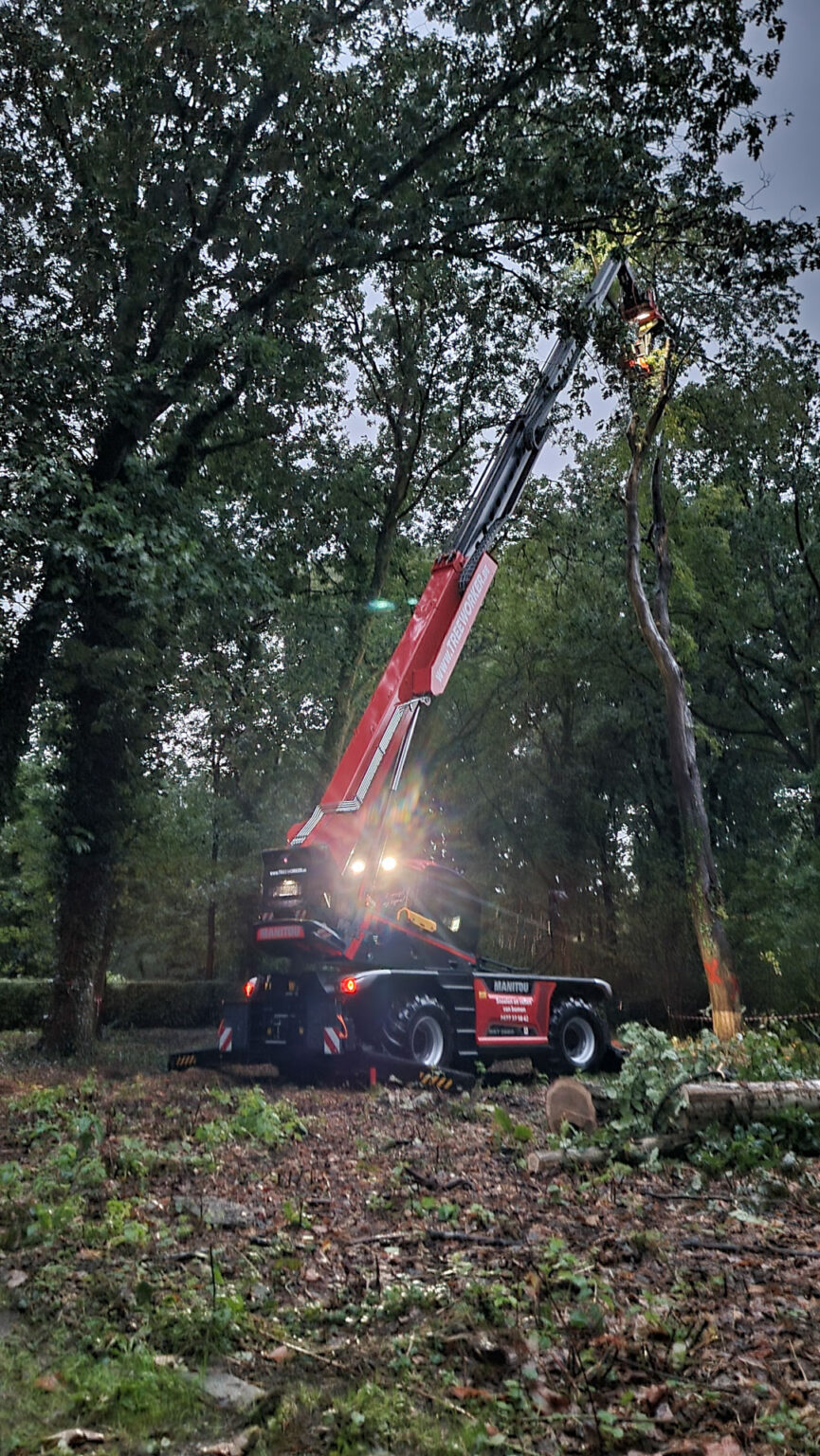 Machineverhuur - Treeworker